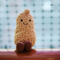 补货！Jellycat Amusable Peanut 趣味花生玩偶 - 海淘优惠 - 55海淘
